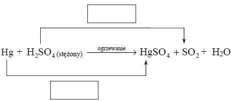 Zadanie - Reakcja rtęci ze stężonym roztworem kwasu siarkowego(VI ...